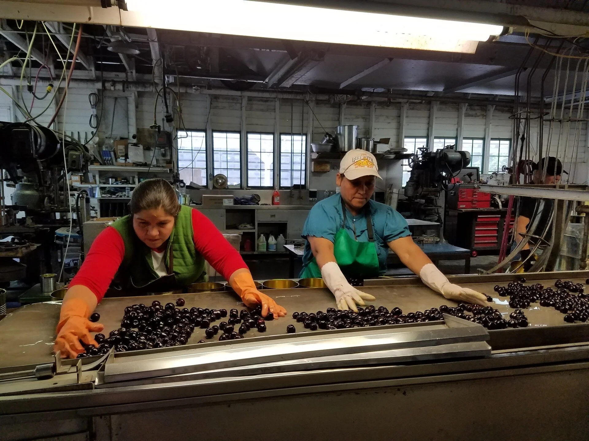 Safety principles for proper lifting, pushing, and pulling — Whole Body ...