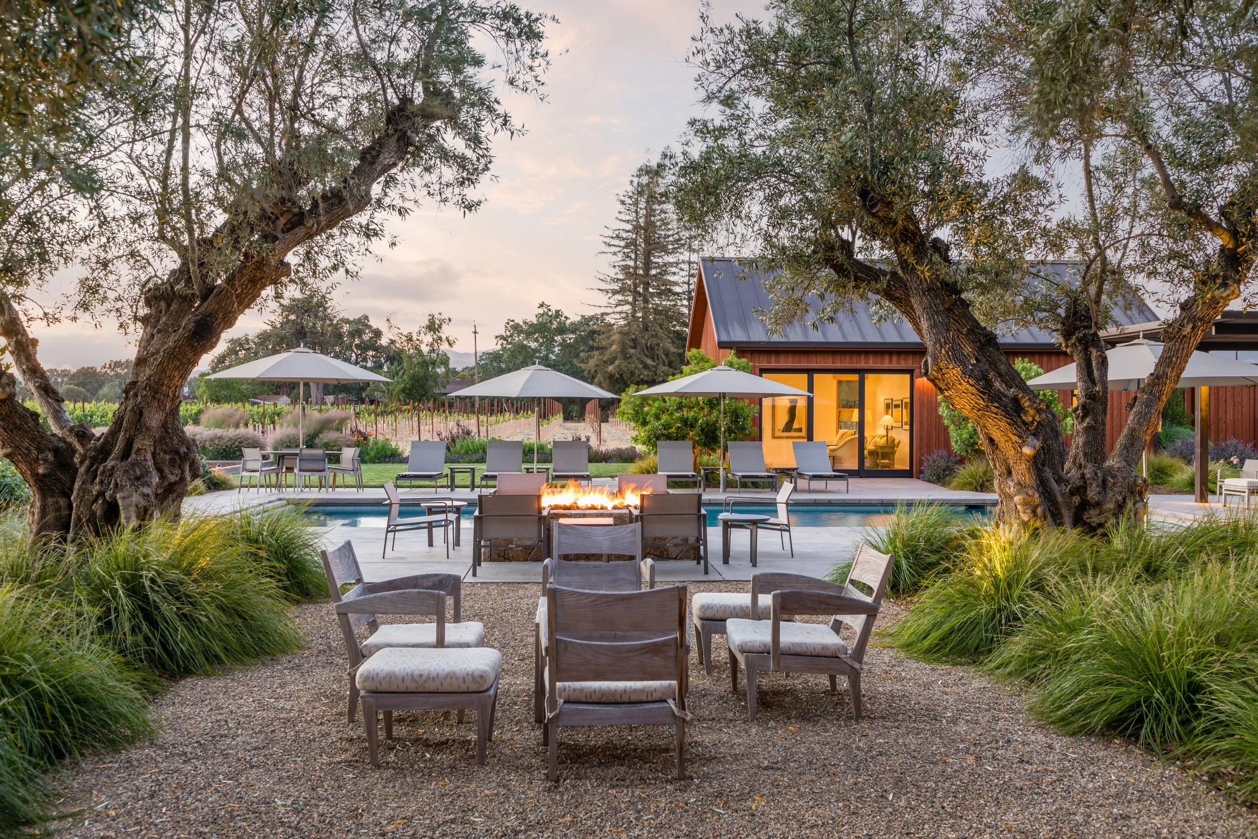 Peter Lyons Photography