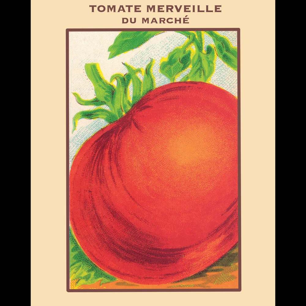 Tomato Seed Packet