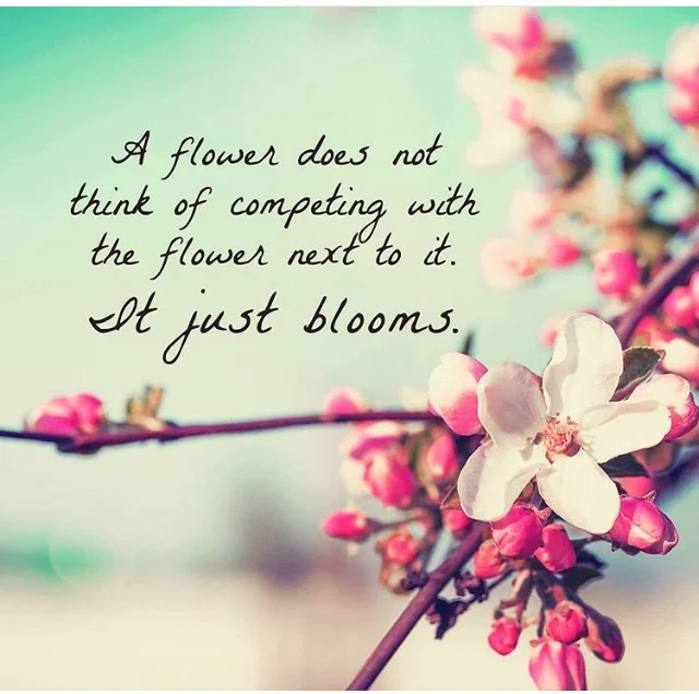 Just Bloom — Shaun Robinson