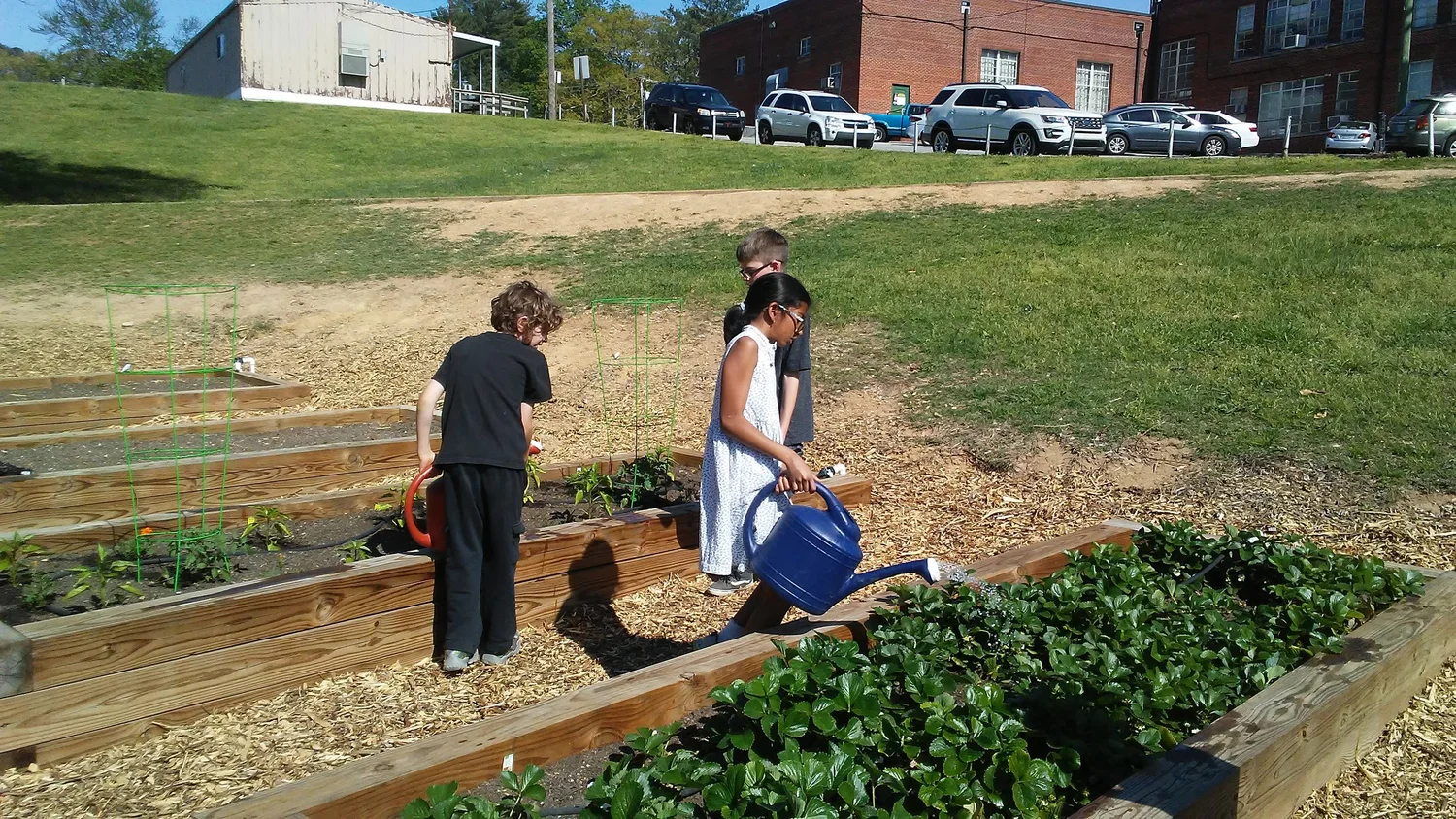 Green School Summit — green|spaces