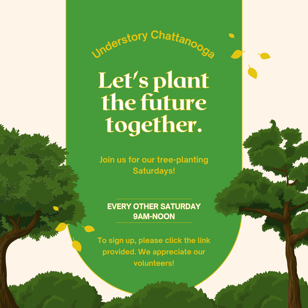 Tree Planting with Understory — green|spaces