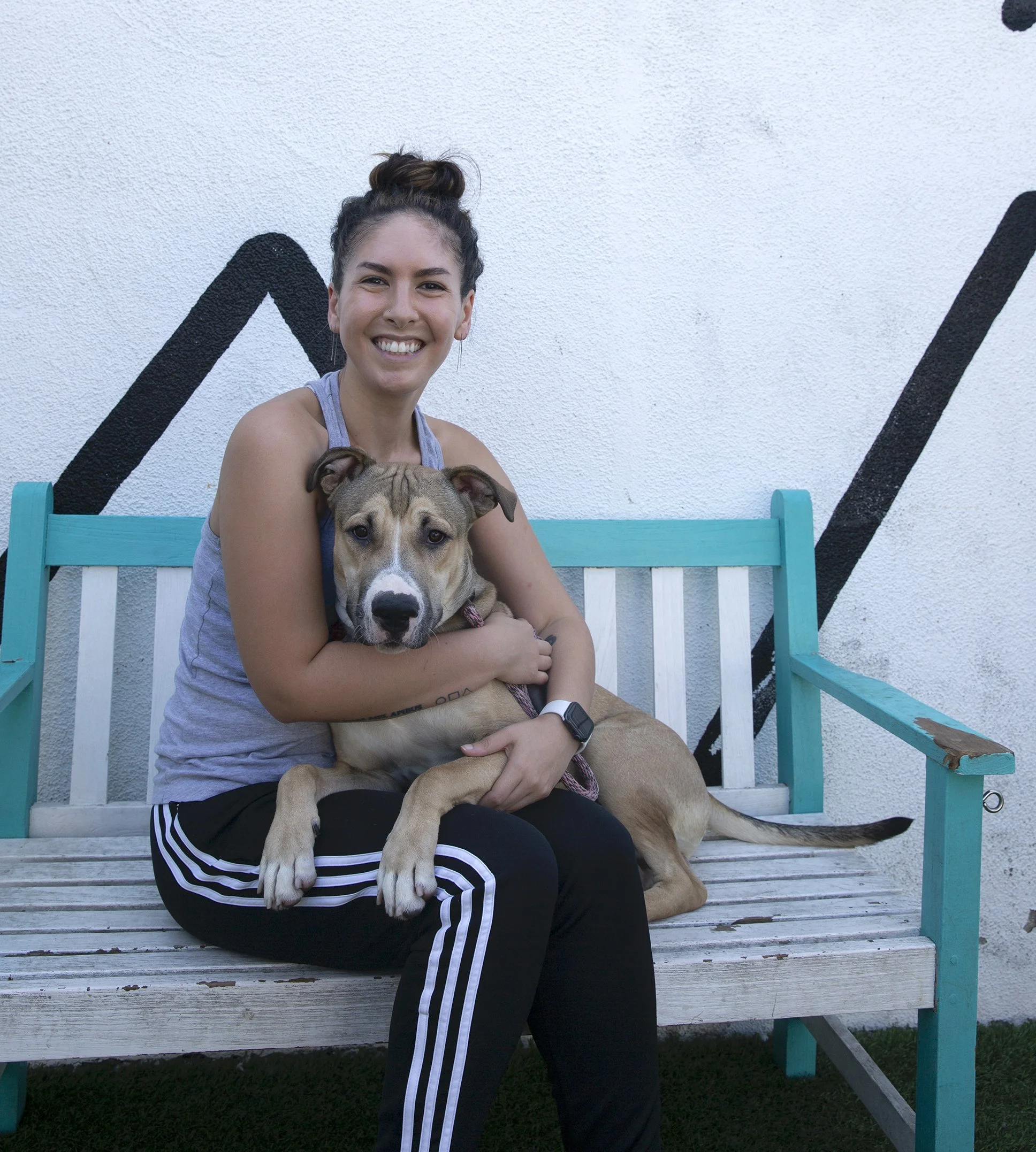 Our Team — Wags and Walks