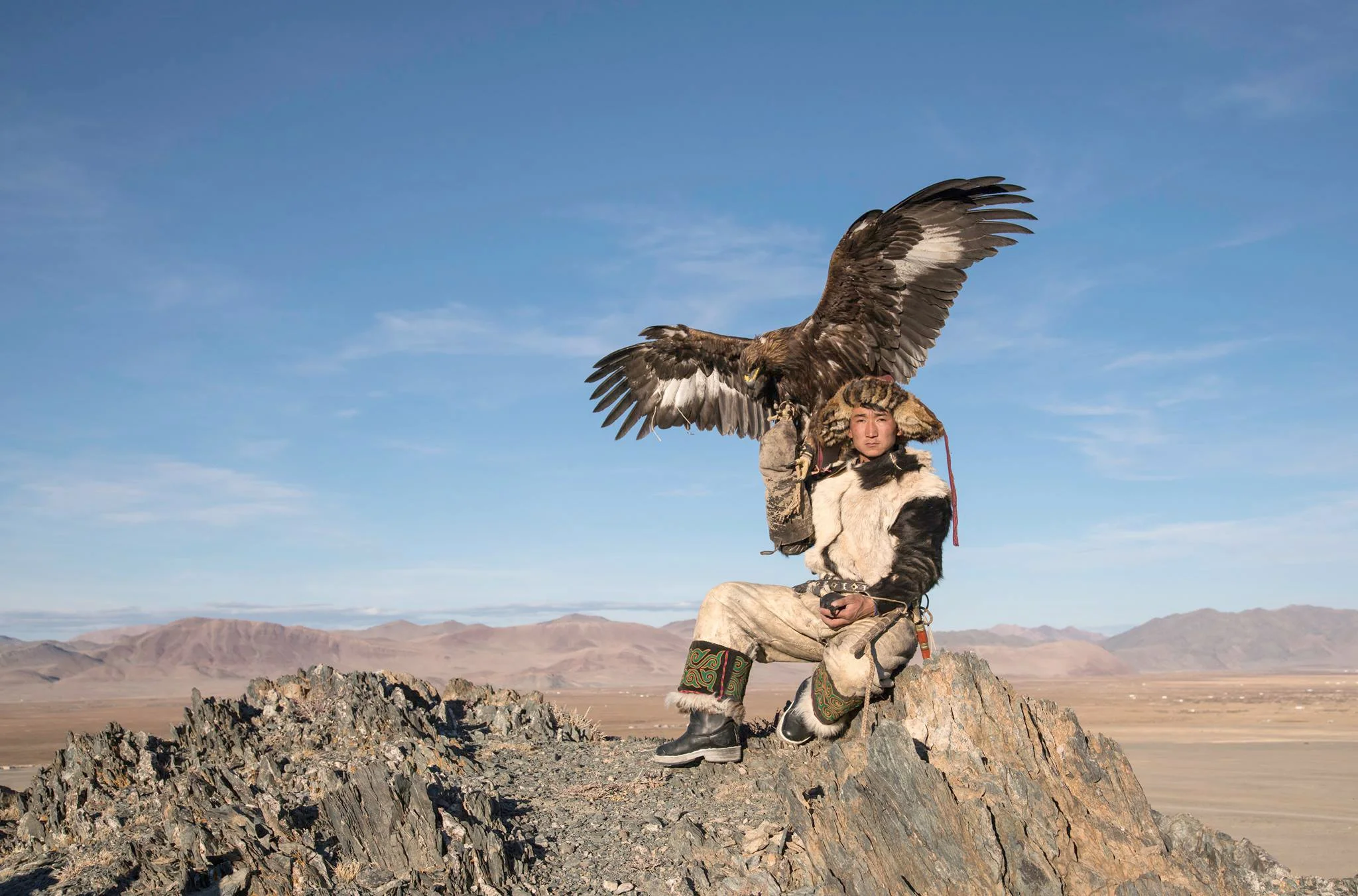 Eagle Hunting Hd Wallpaper