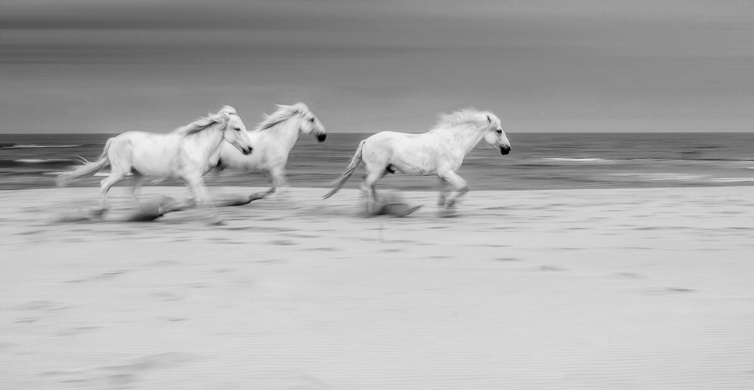 Panning Photography — Kevin Pepper Photography