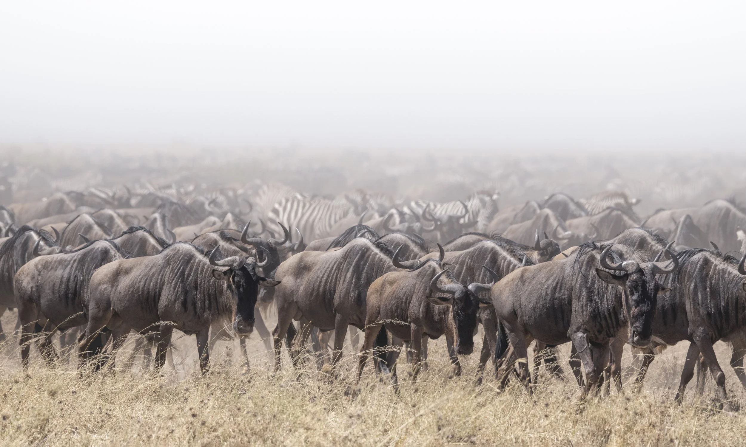 Images From My Africa Workshops — Kevin Pepper Photography