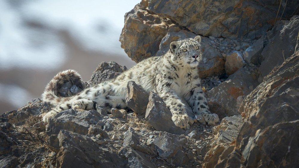 Photography Workshops Where The Focus Is On Teaching You Photography ...