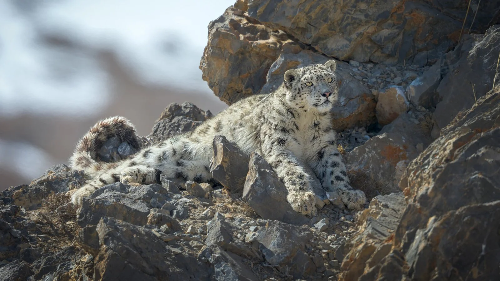 Photography Workshops Where The Focus Is On Teaching You Photography ...