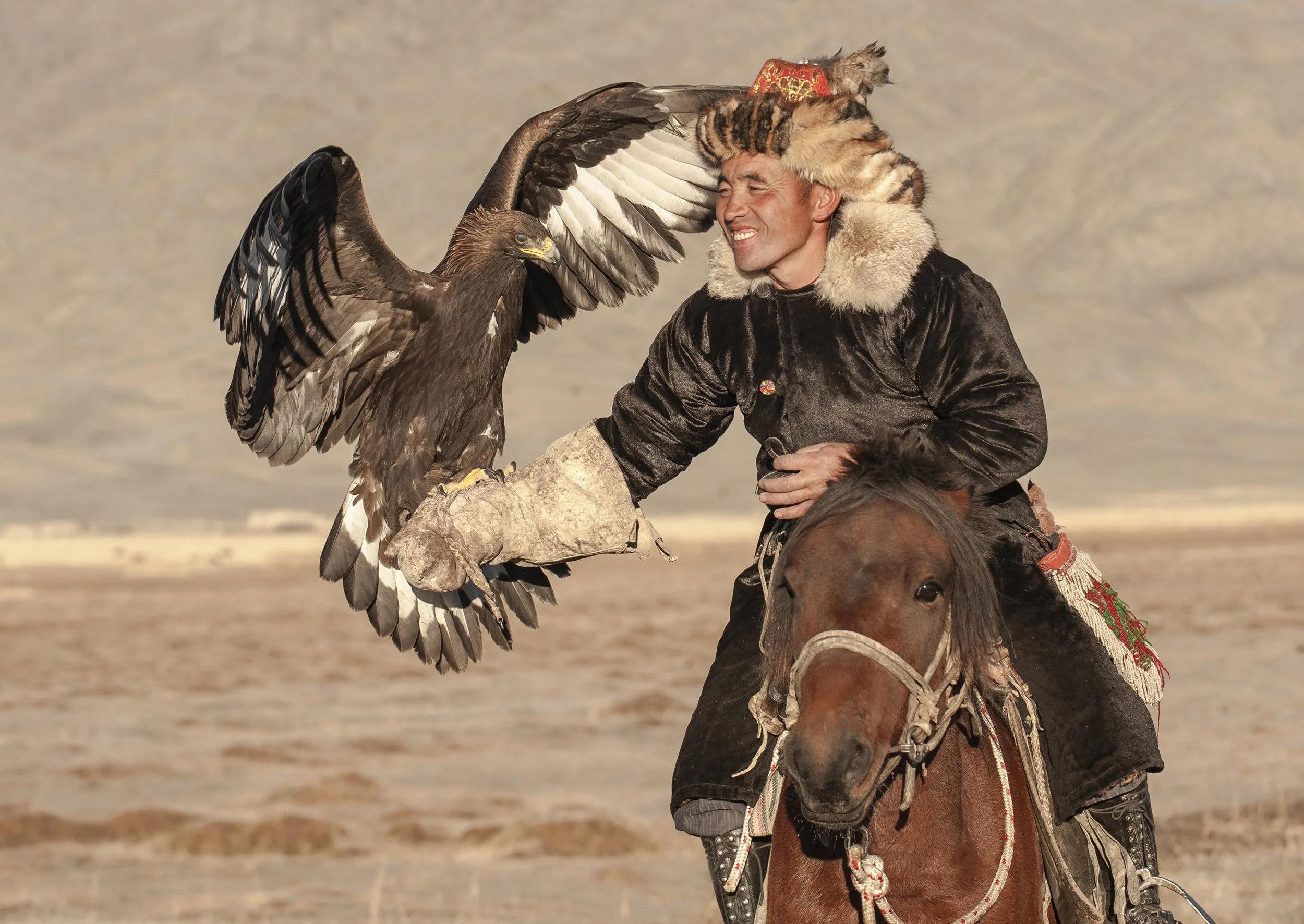 Golden Eagle Hunting Prey The Mongolian Eagle Hunters Cazenove+loyd