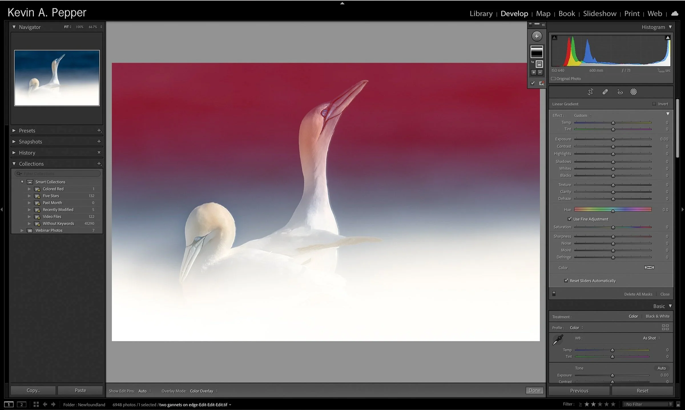 Our 15 Essential Wildlife Editing Steps — Kevin Pepper Photography