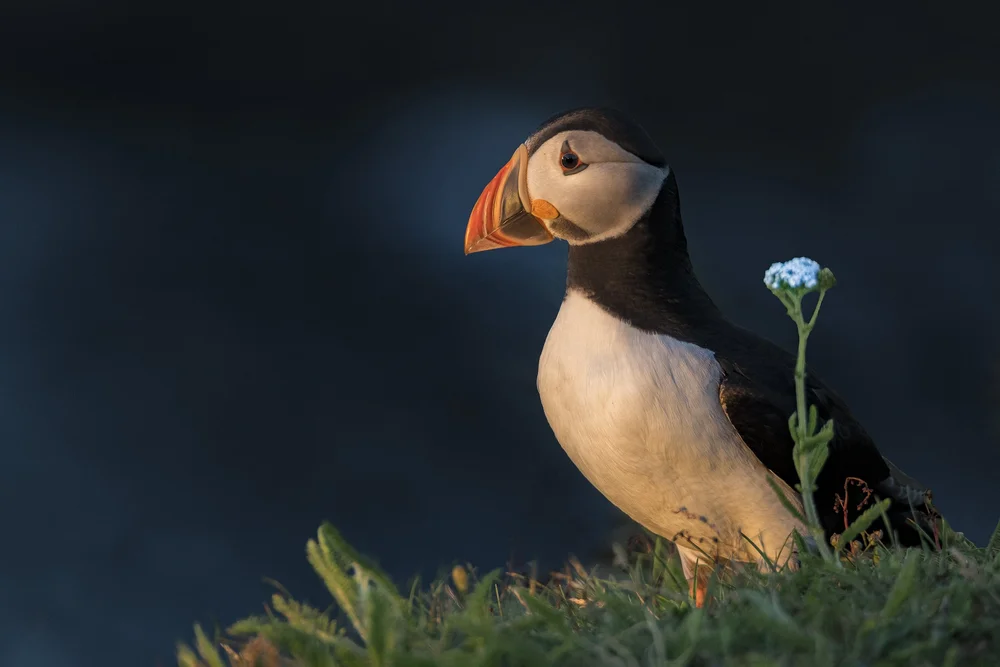 Images From My Newfoundland Workshops — Kevin Pepper Photography