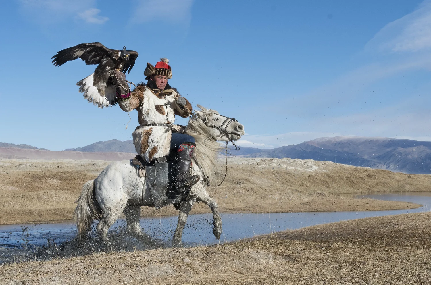 Mongolia Eagle Hunters and their Golden Eagles — Kevin Pepper Photography