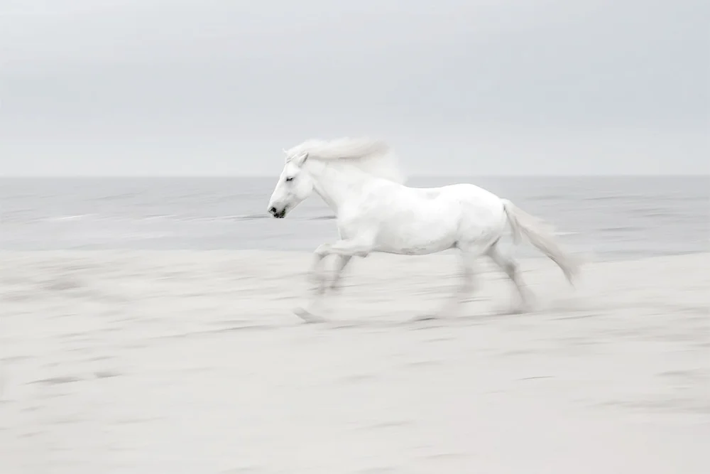 The Difference Between Panning and Motion Blur Photographs — Kevin ...