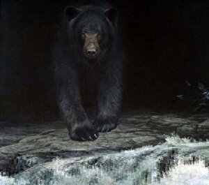Beginners Guide To Wildlife Photography — Kevin Pepper Photography