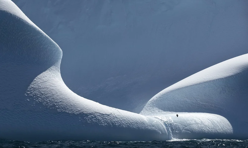 Pattern Play: How to Use Repetition for Captivating Photography — Kevin ...