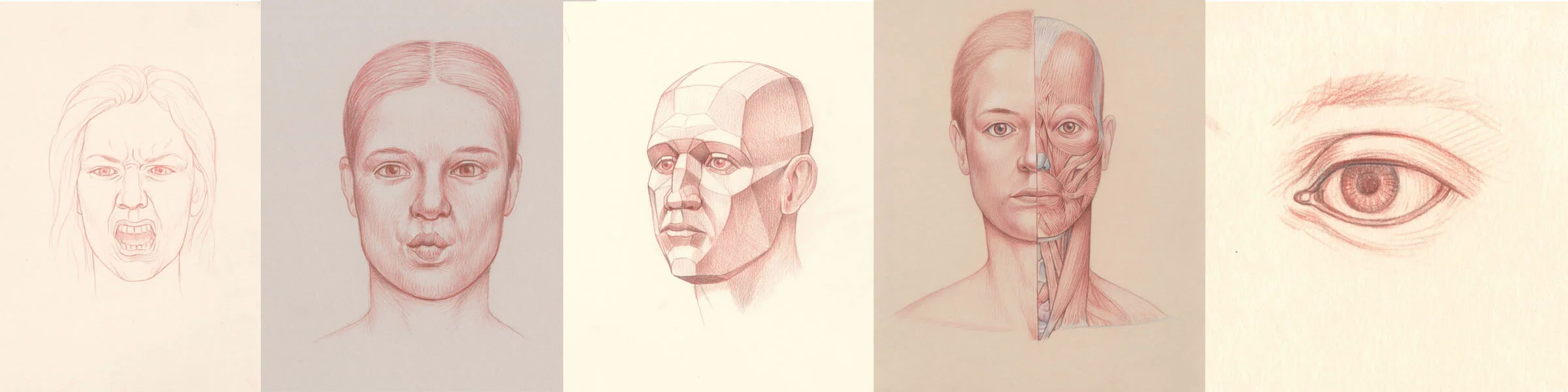 Wrinkled Forehead Drawing