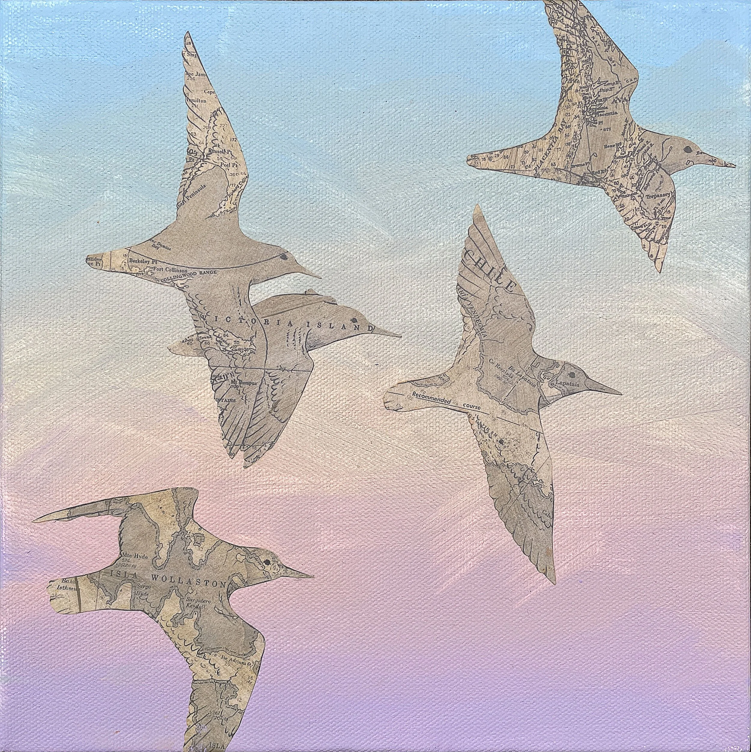 Compass Art Center — Taina Litwak • Red Knot - Ghost flocks Study 3 ...