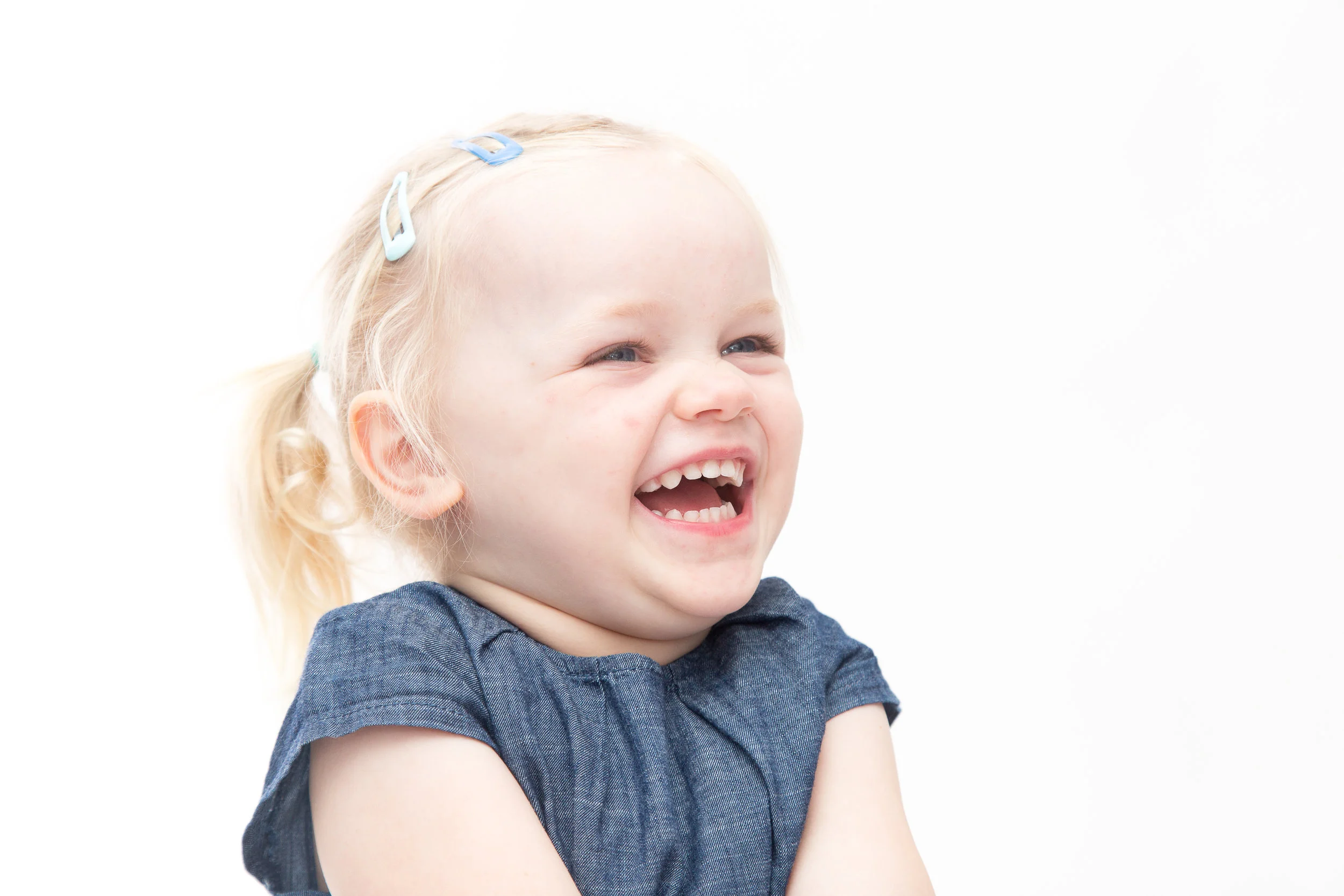 Gallery — Stuart Beard Photography