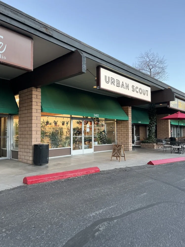 The Home Of Urban Scout Store