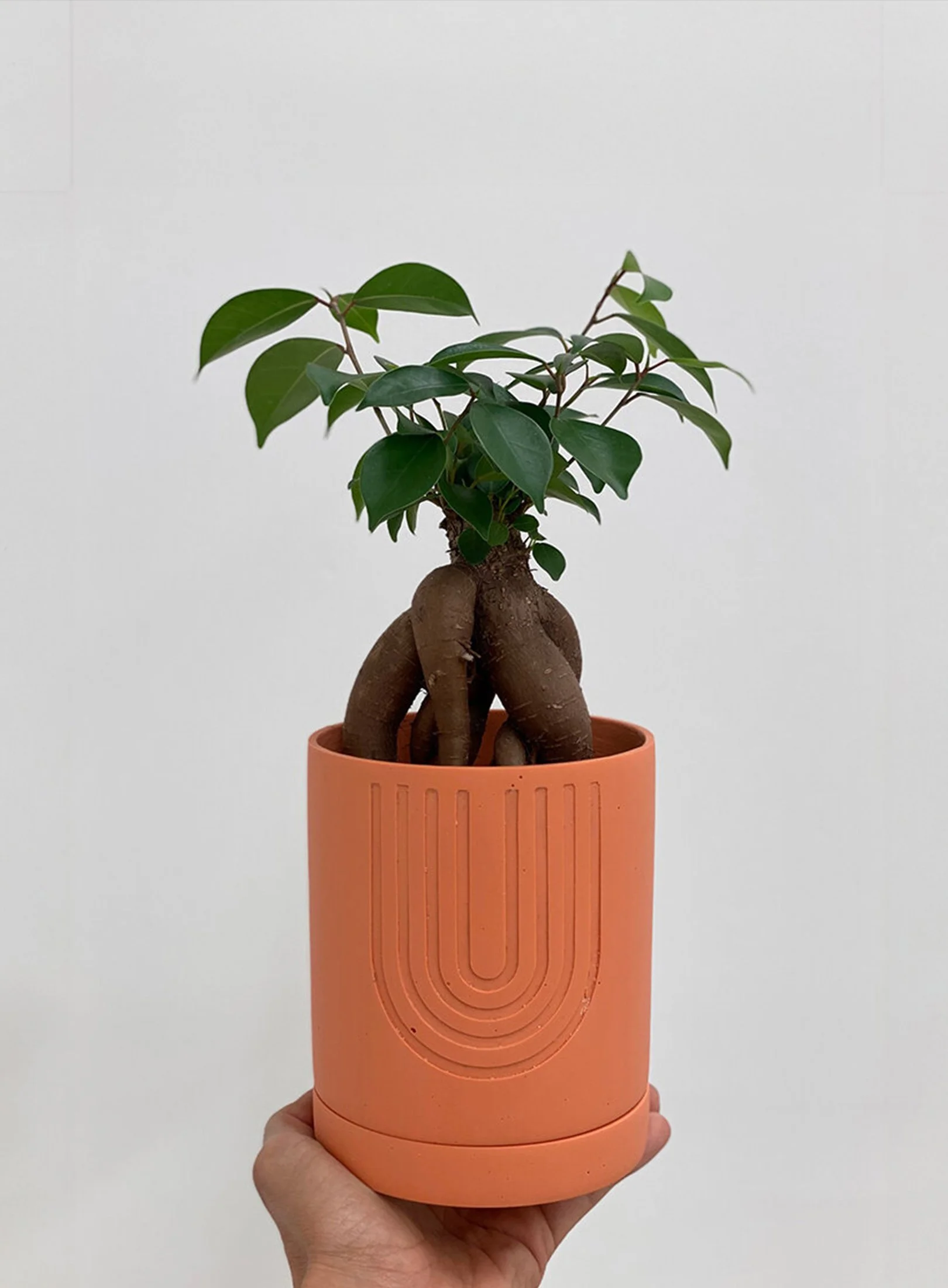 The Home Of Urban Scout Store