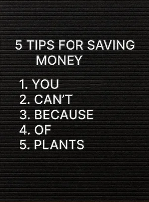 The Home Of Urban Scout Store