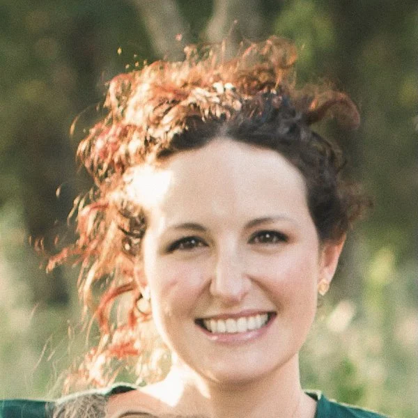 Board — Travis PTA — Houston, Texas