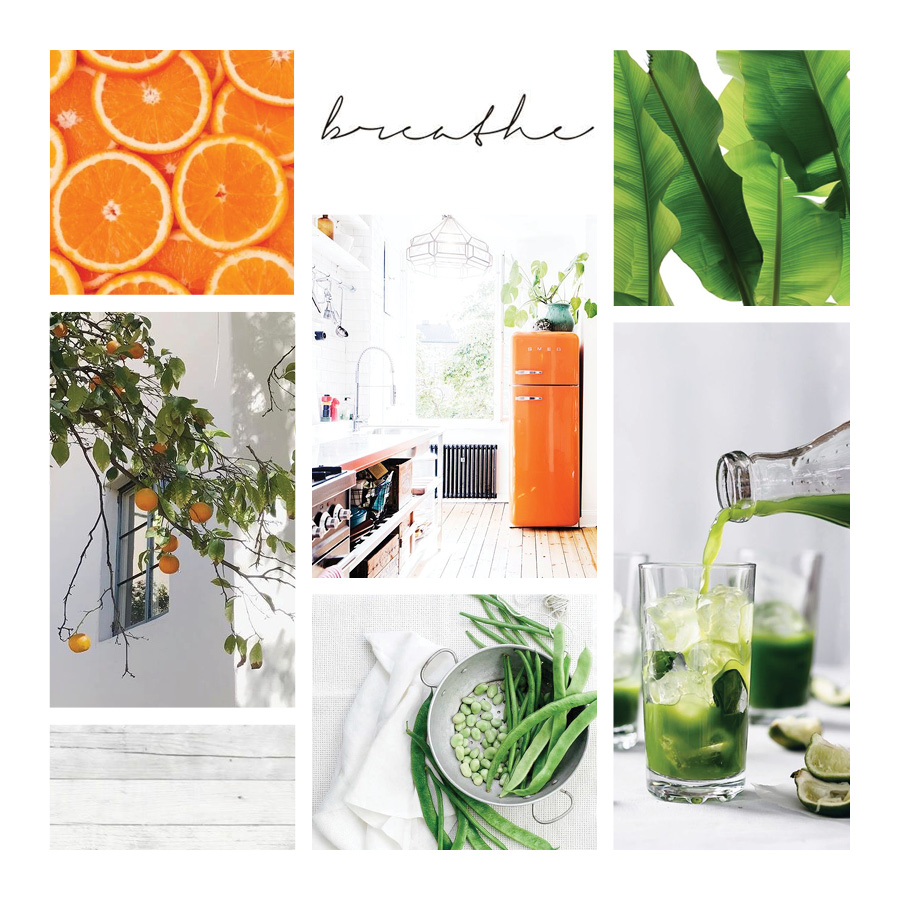 Moodboard Monday: Fresh & Energetic — Samantha Madeo Branding & Website ...