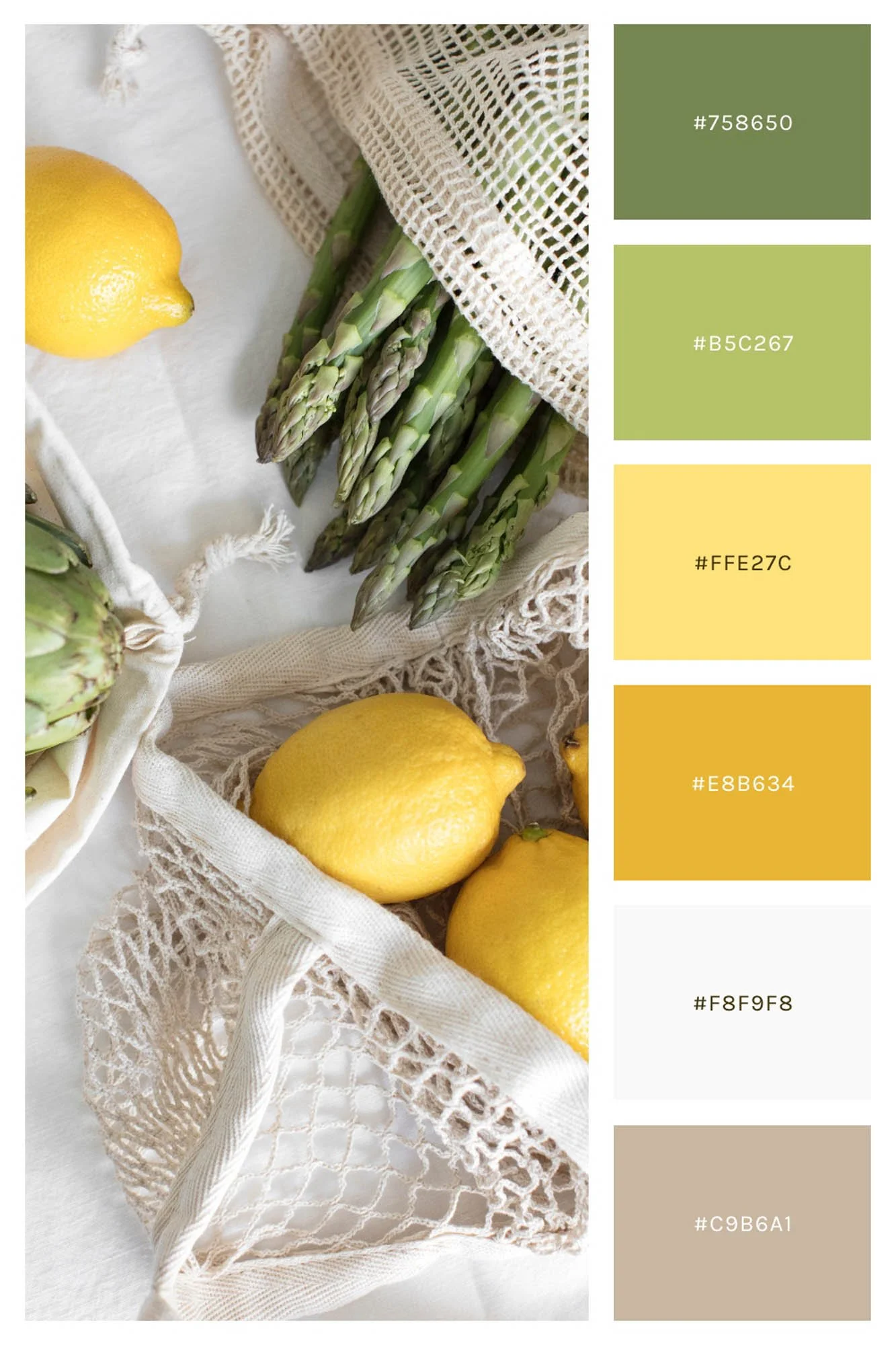 15 Spring Color Palettes for your Brand — Samantha Madeo Branding ...