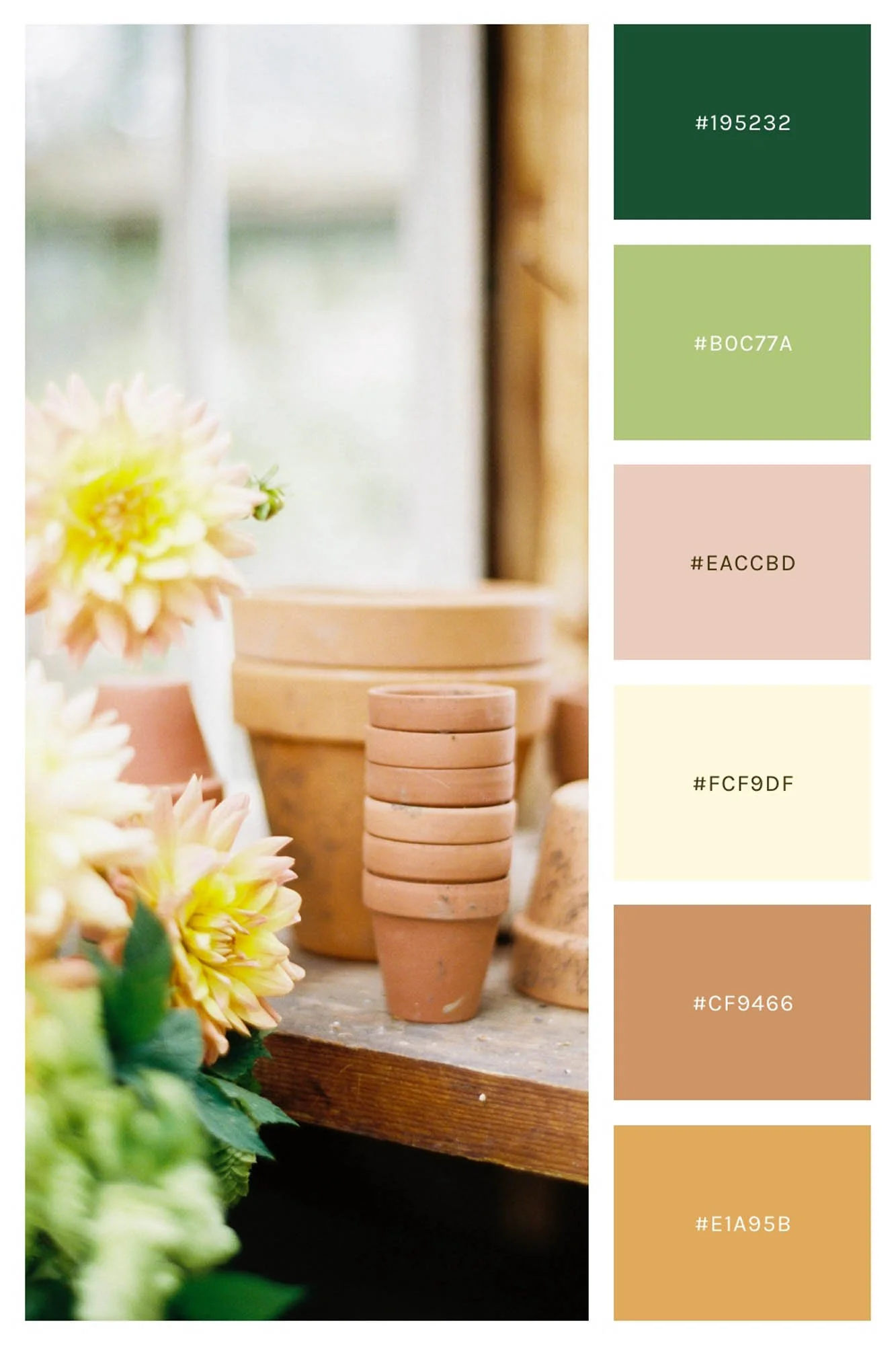 15 Spring Color Palettes for your Brand — Samantha Madeo Branding ...