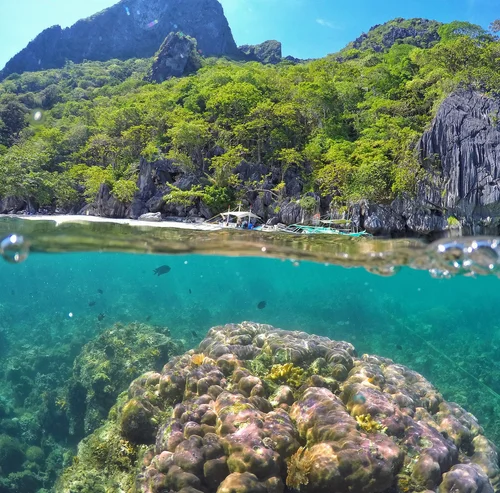 Palawan: The Island No One Wants You to Know About — Trusted Travel Girl