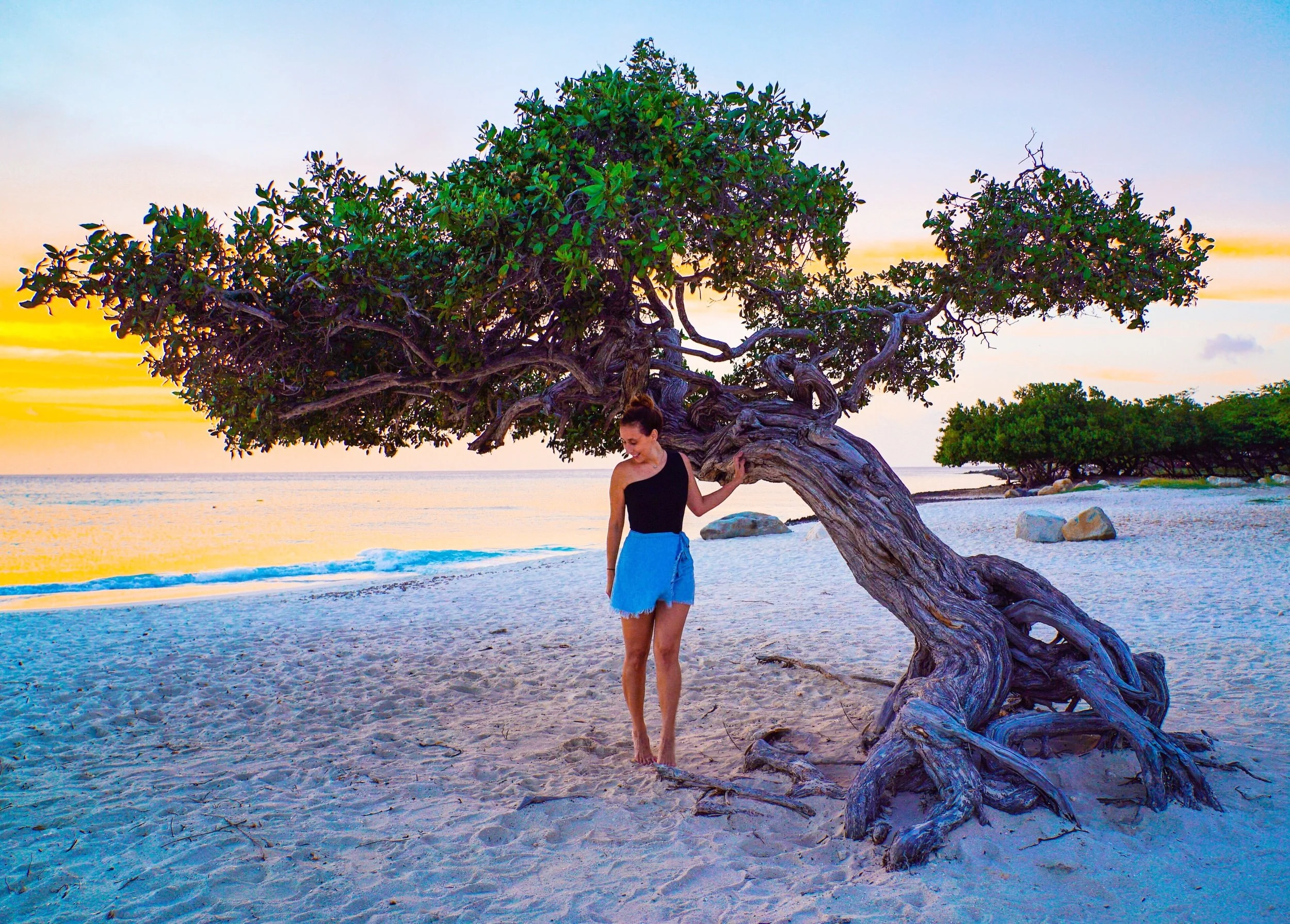 Aruba : Why It's The BEST Caribbean Island — Trusted Travel Girl