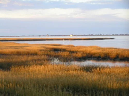 The Ultimate Guide to Camping at Assateague Island — Trusted Travel Girl