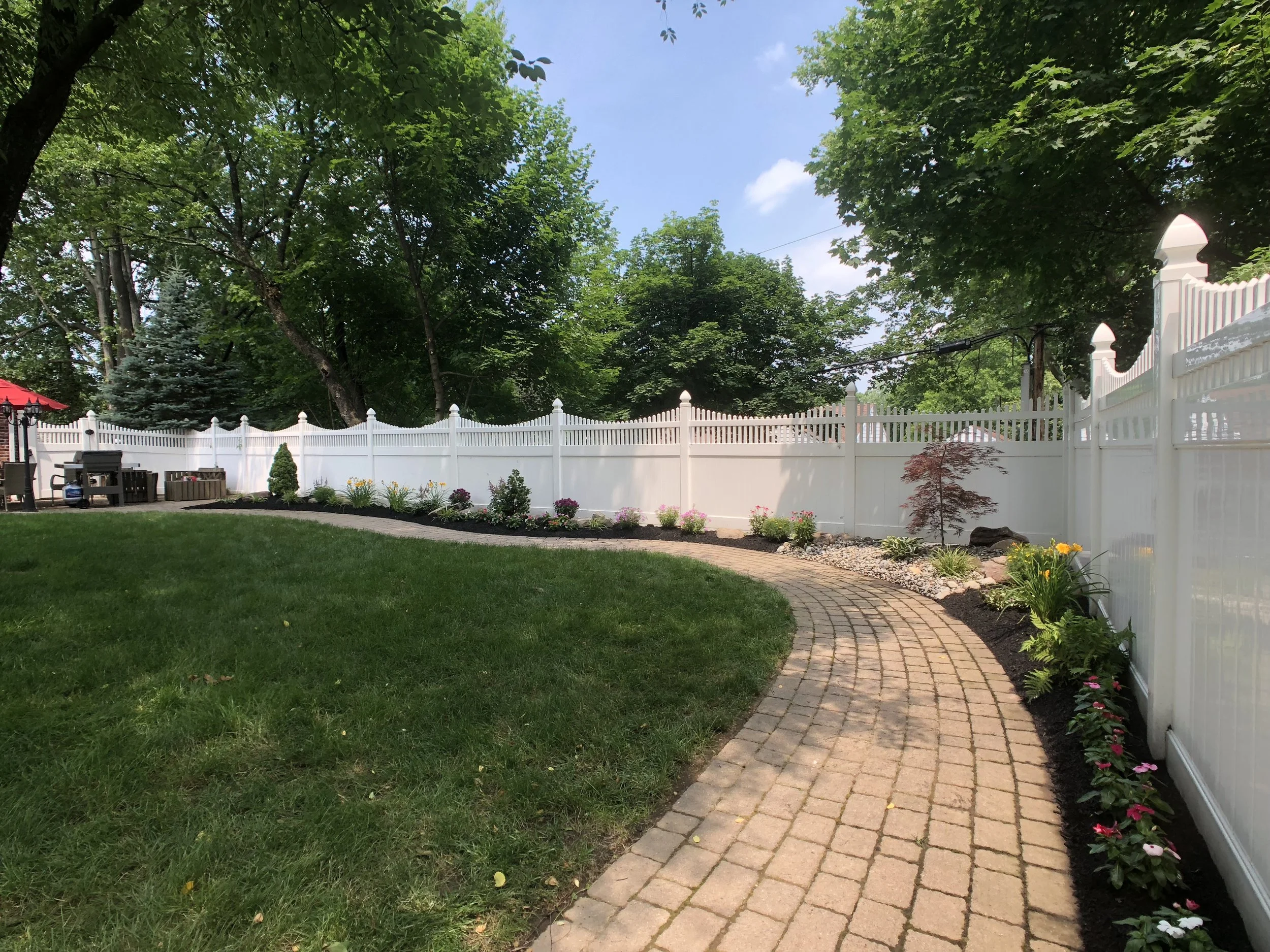 Backyard Perimeter Plantings (2020) — Haven & Hazard
