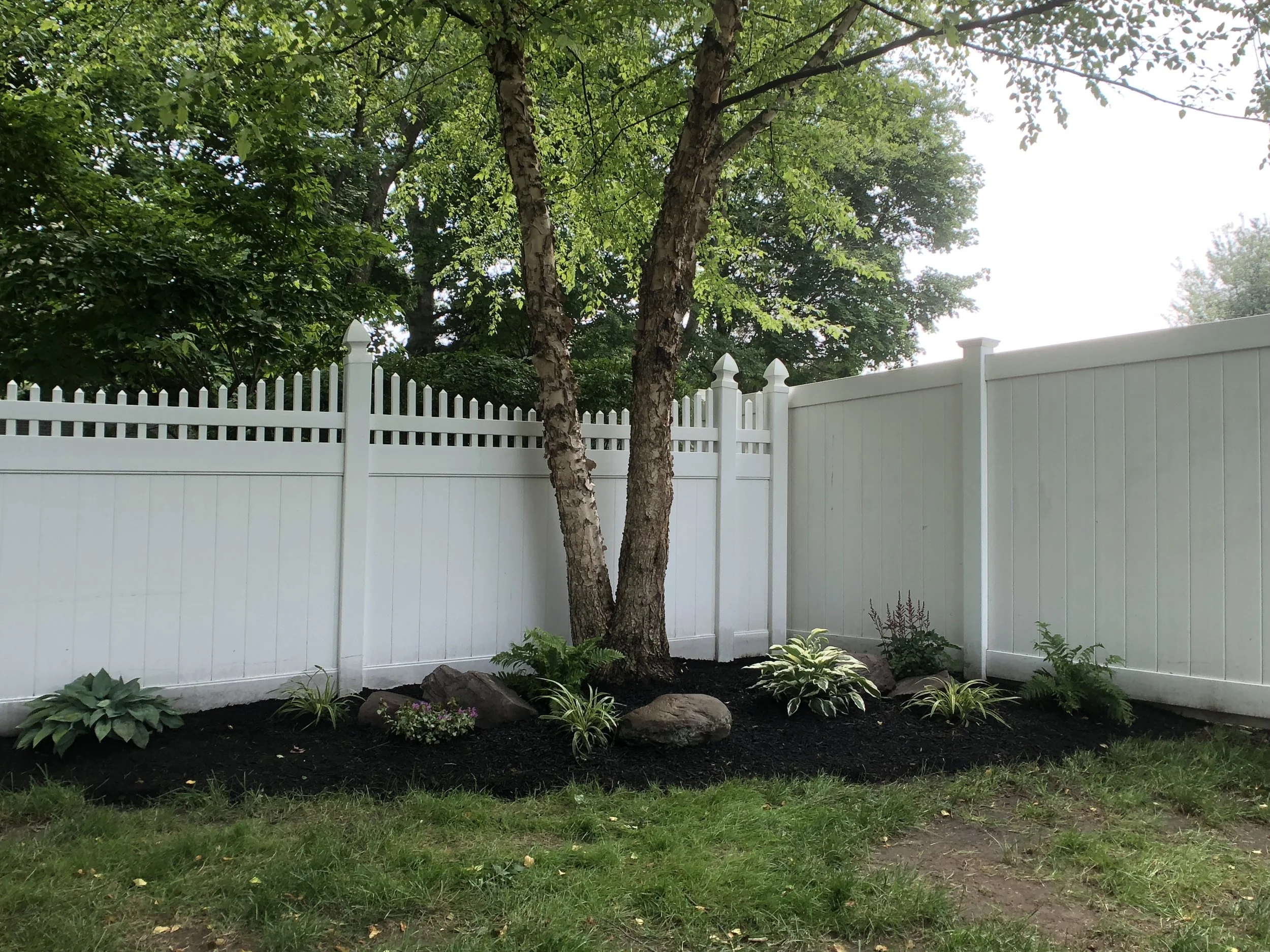 Backyard Perimeter Plantings (2020) — Haven & Hazard