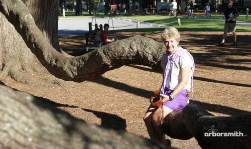 How Strong Is This Low Branch’’? — Arborsmith, Ltd.® crafstman in the ...