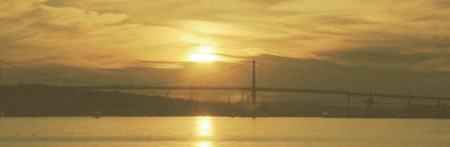 Where Can I Buy The ADT Book? — Life on ADT