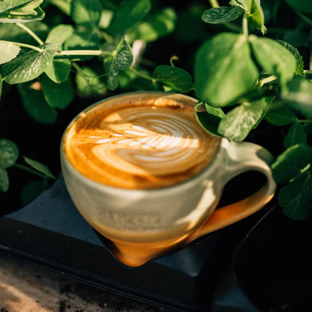 Local Farms at Argus Farm Stop — Argus Farm Stop - Farmers Market Meets ...