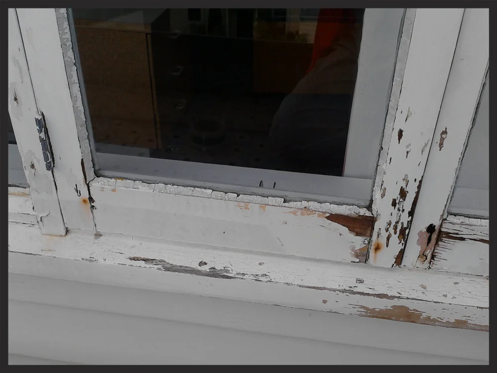 The Rot Doctor - Window Rot Repair Auckland