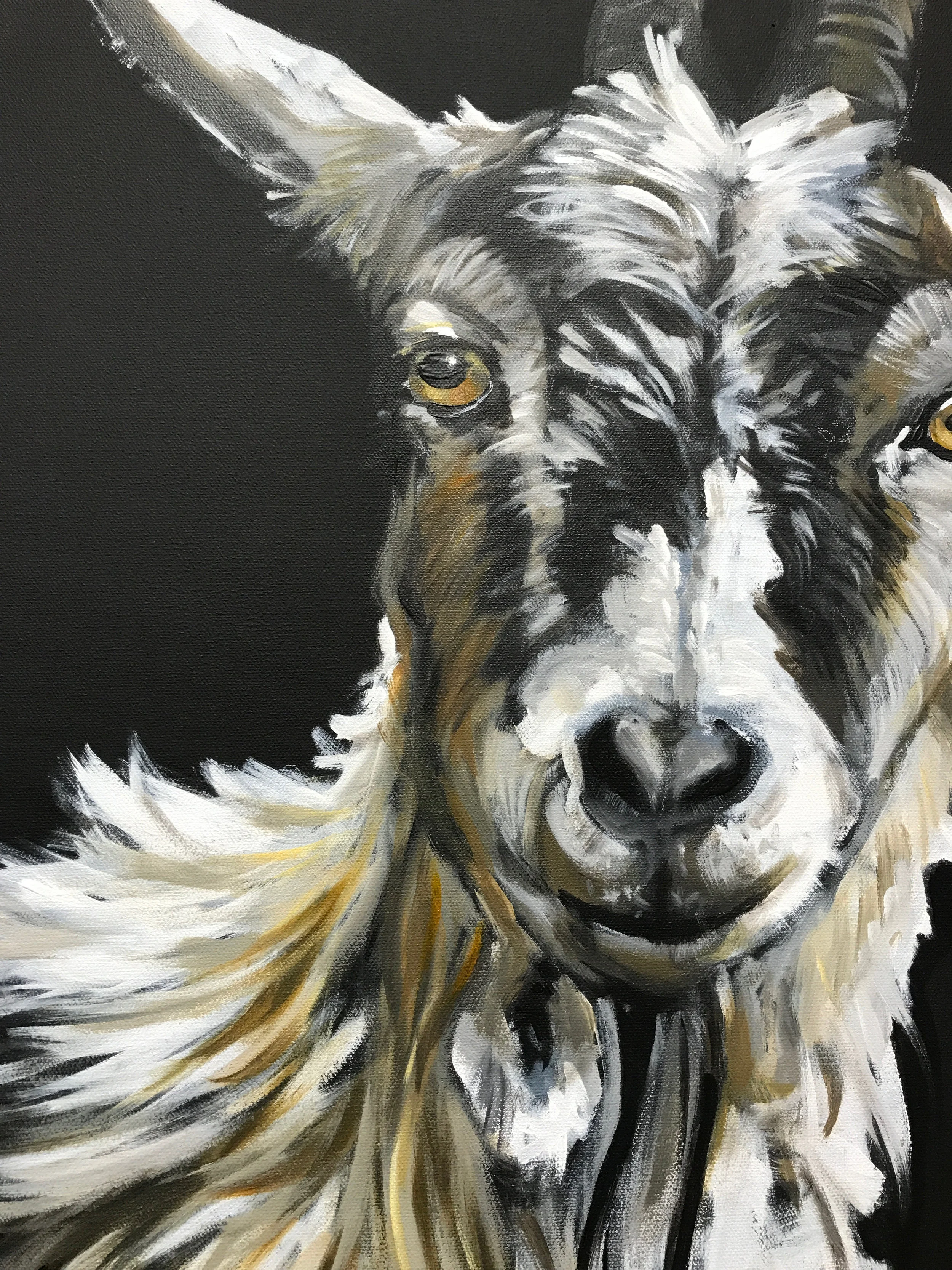 Animal Art — Farm Signs