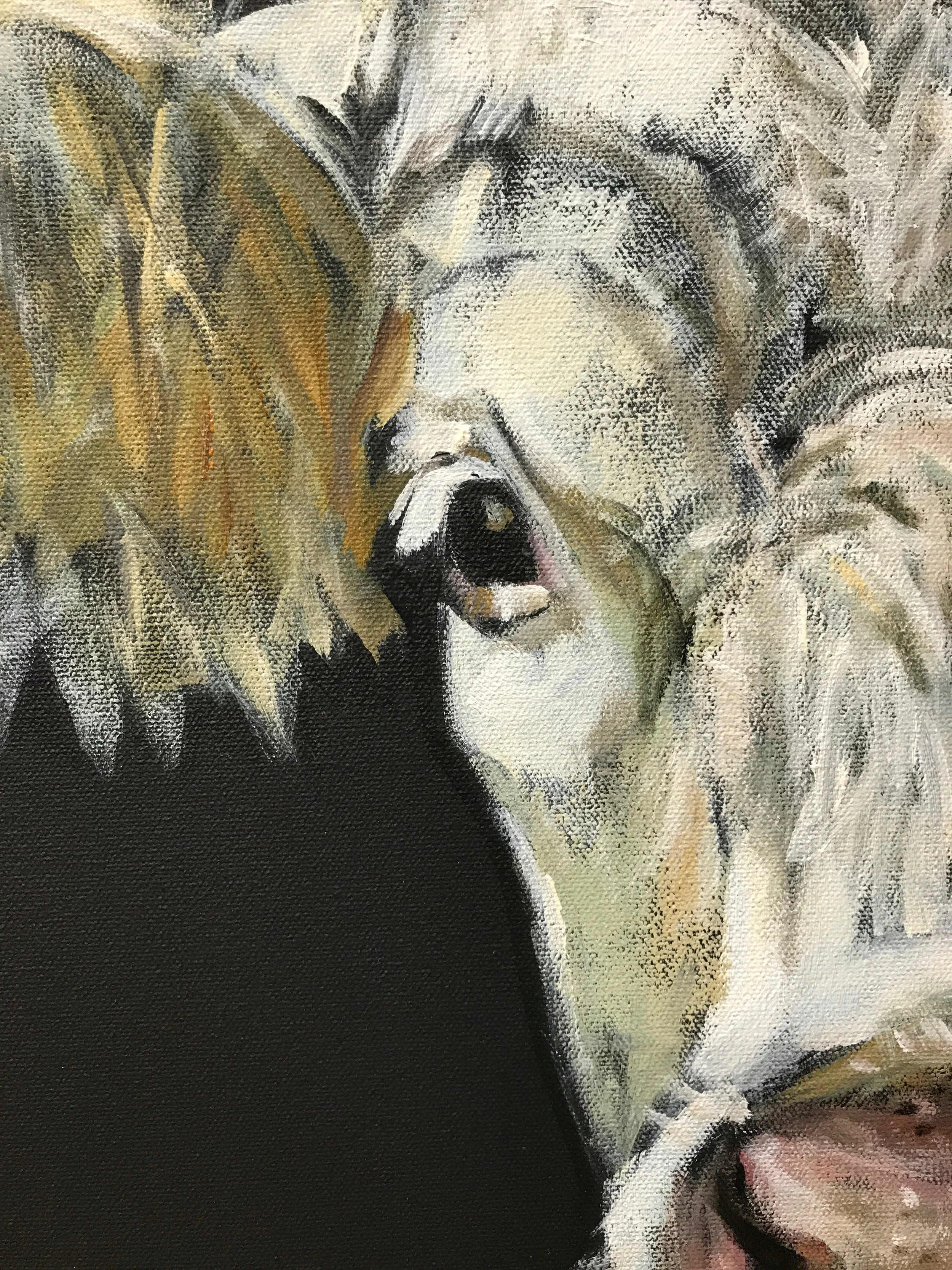 Animal Art — Farm Signs