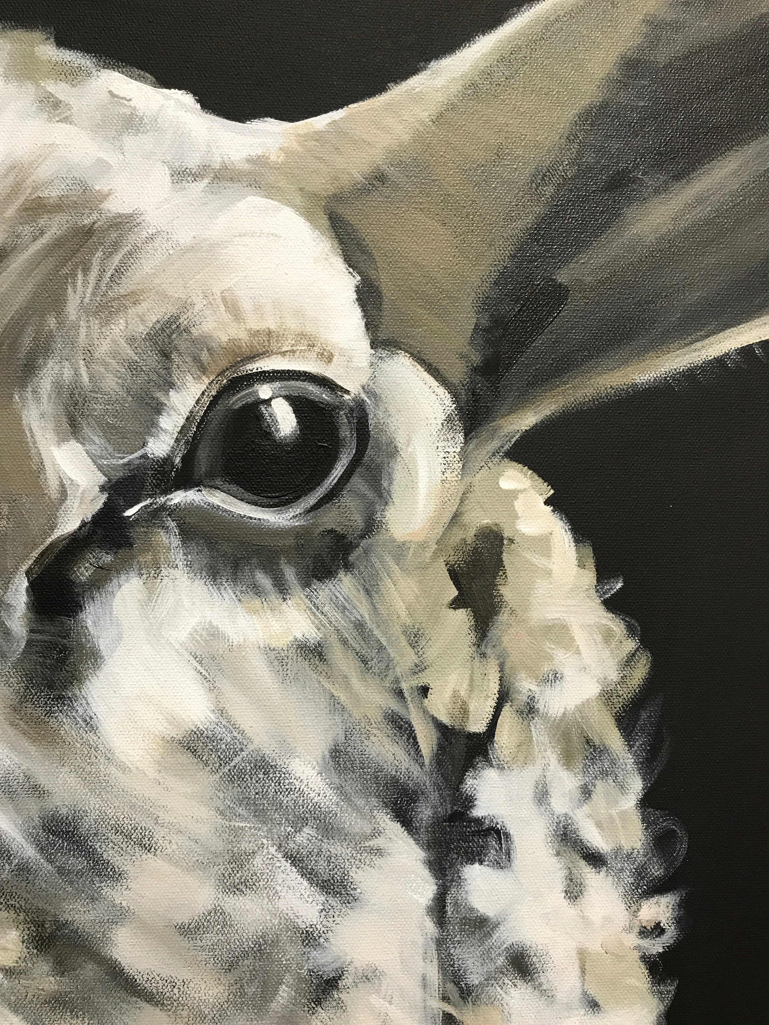 Animal Art — Farm Signs