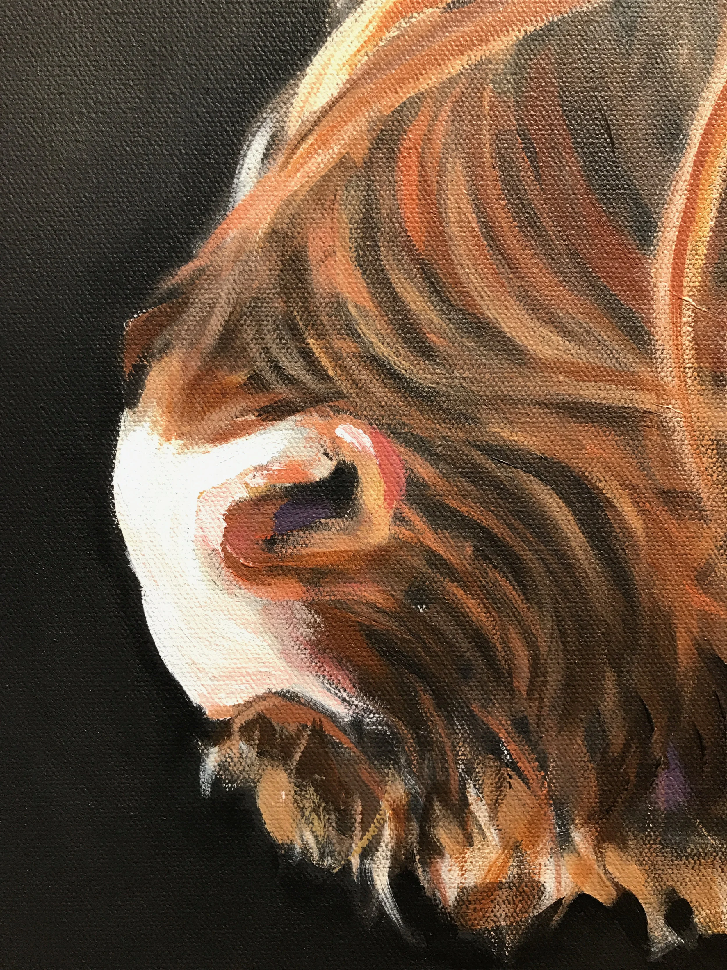 Animal Art — Farm Signs