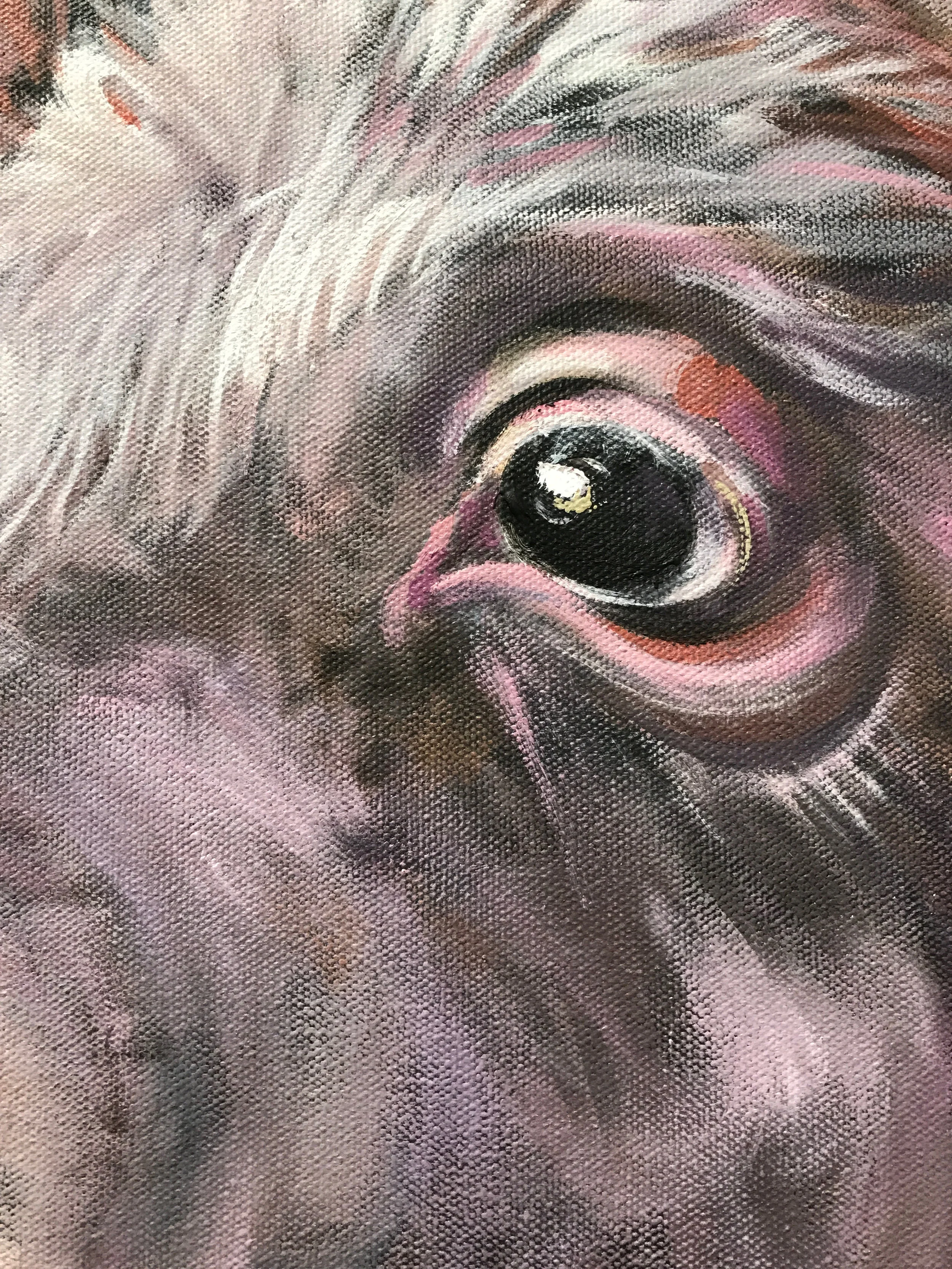Animal Art — Farm Signs