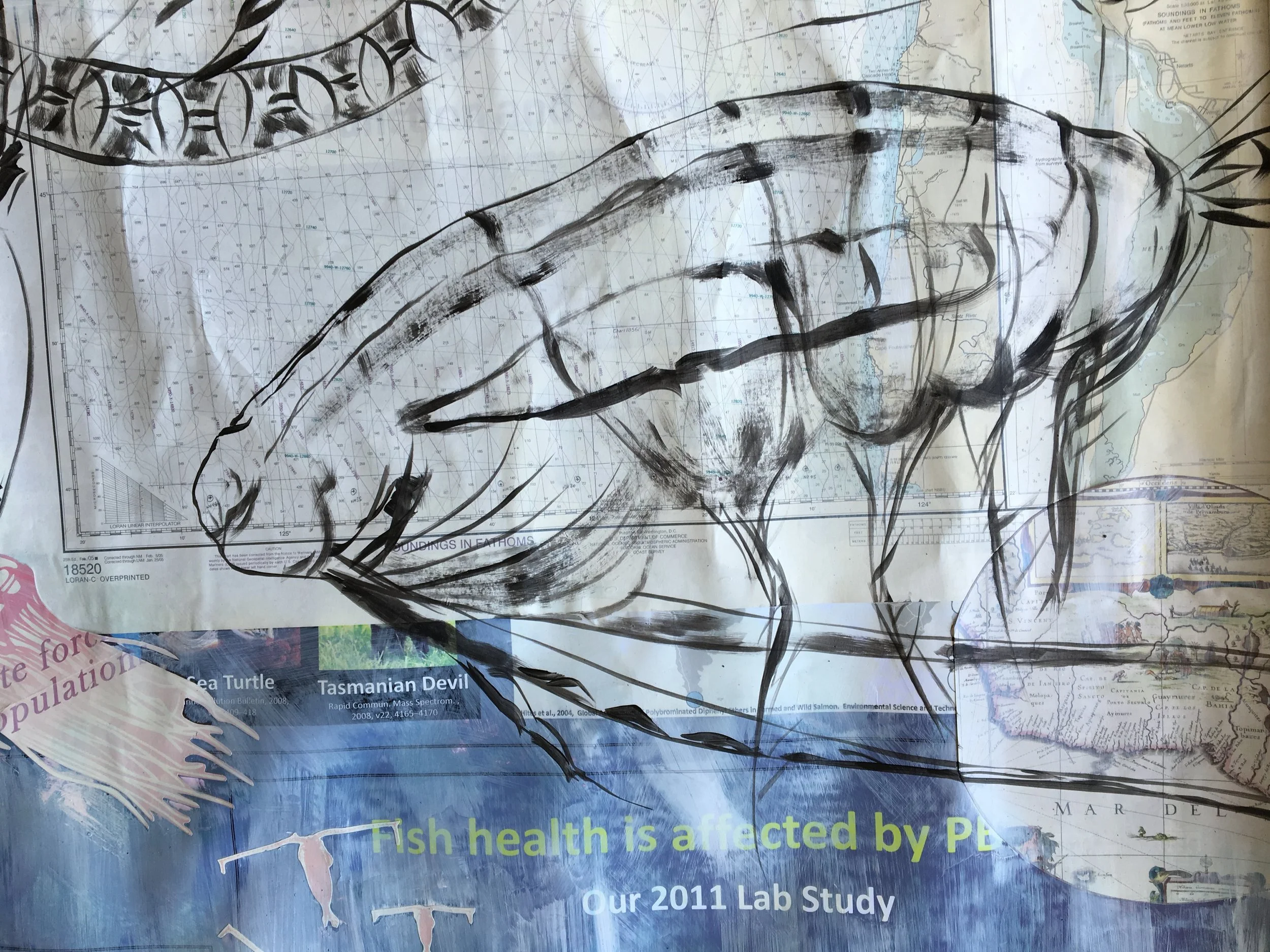 Ecological Exploration — Ardis DeFreece Art