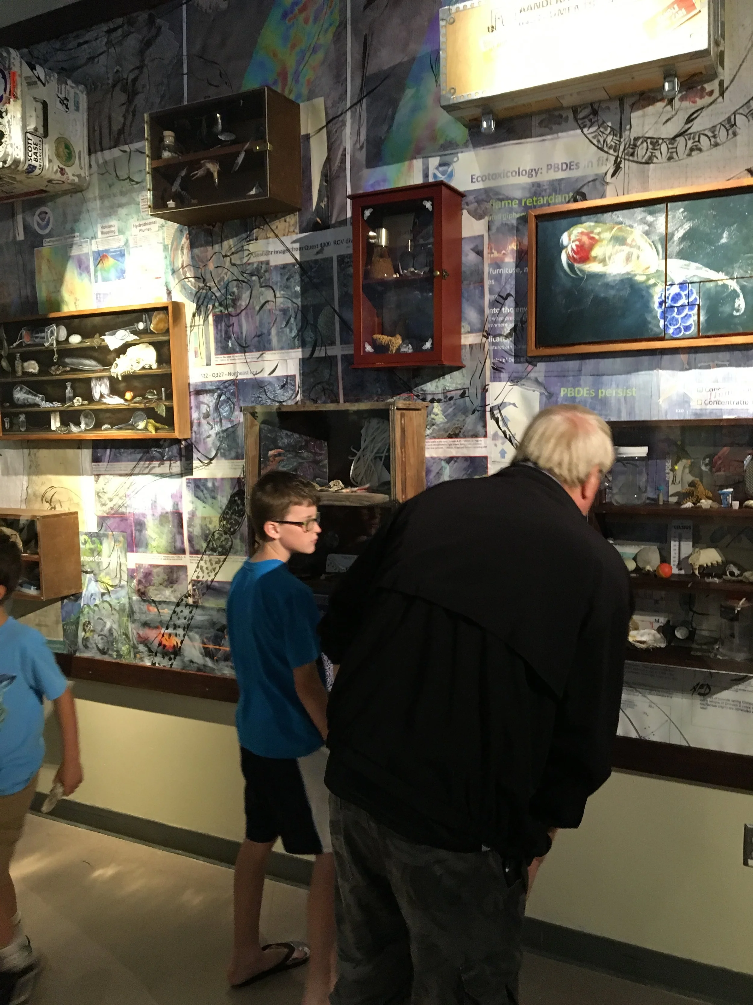 Ecological Exploration — Ardis DeFreece Art