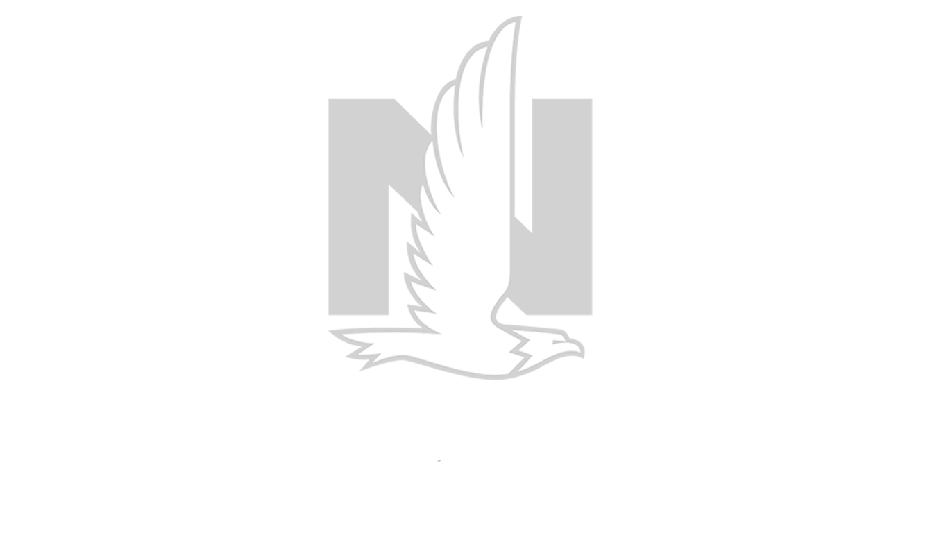 Nationwide Insurance Eagle Logo