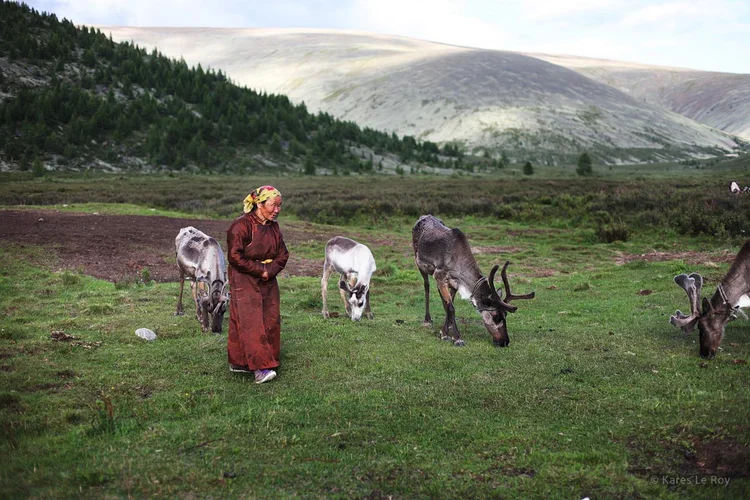 Tsaatan — Kares Le Roy