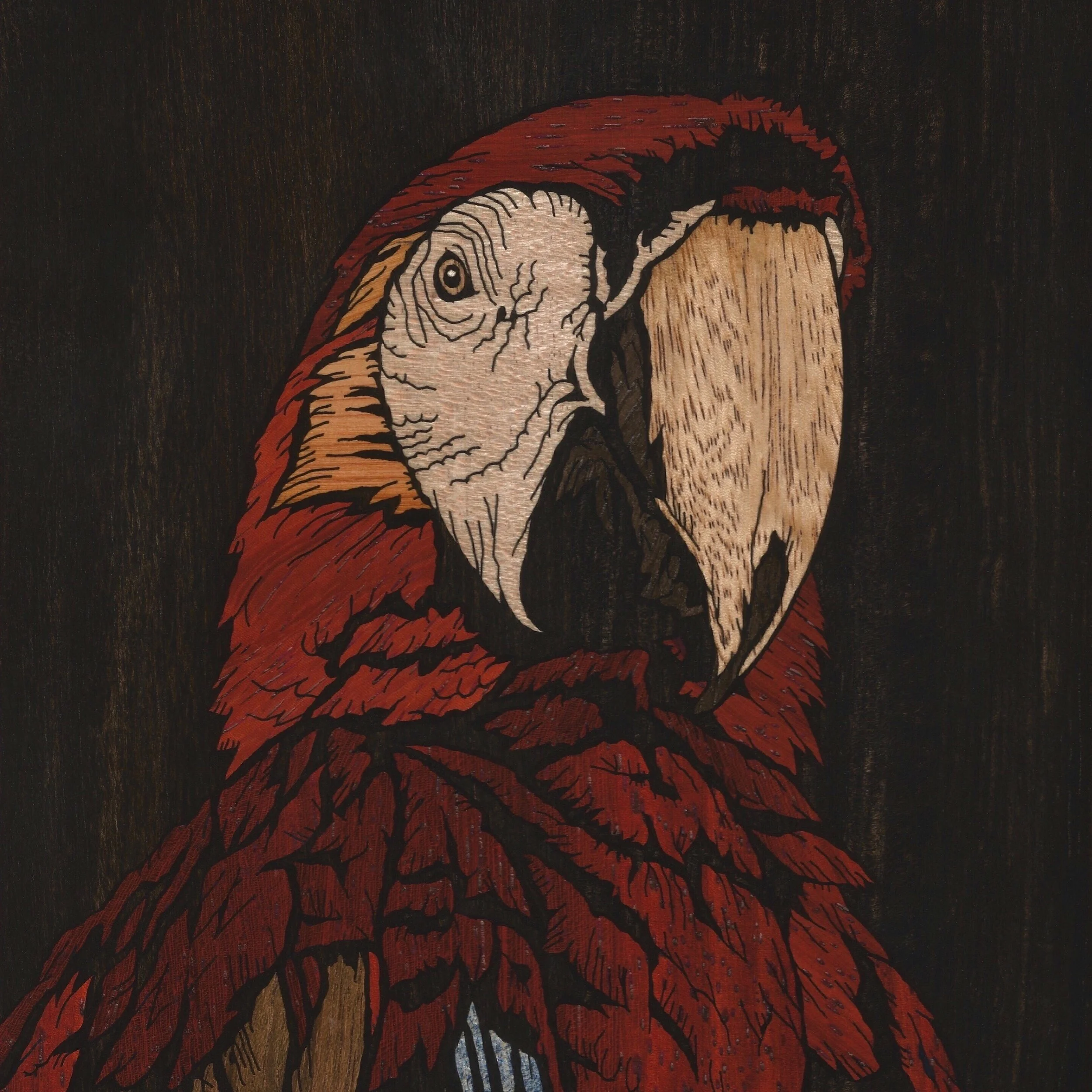 BIRDS — JACK.S.inlays