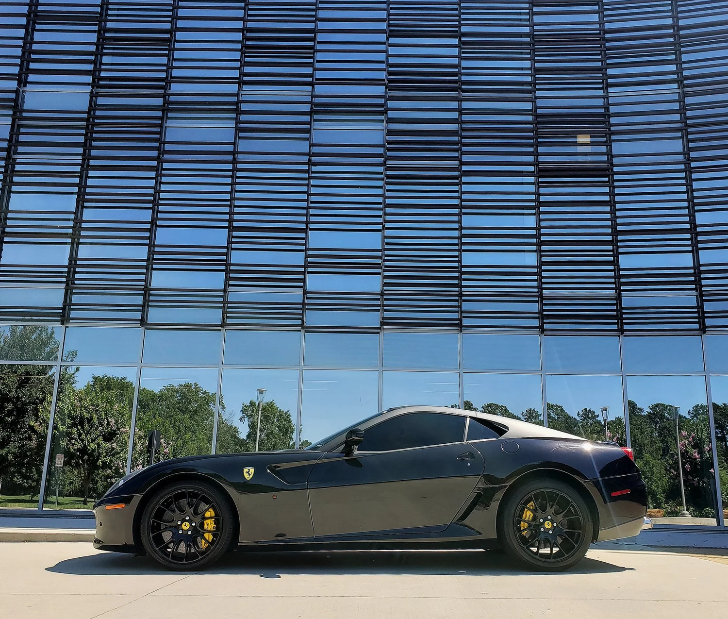 Woodlands Black Ferrari