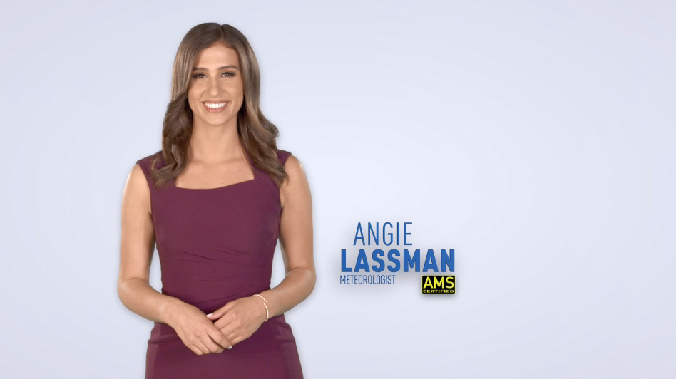 Resume — Angie Lassman